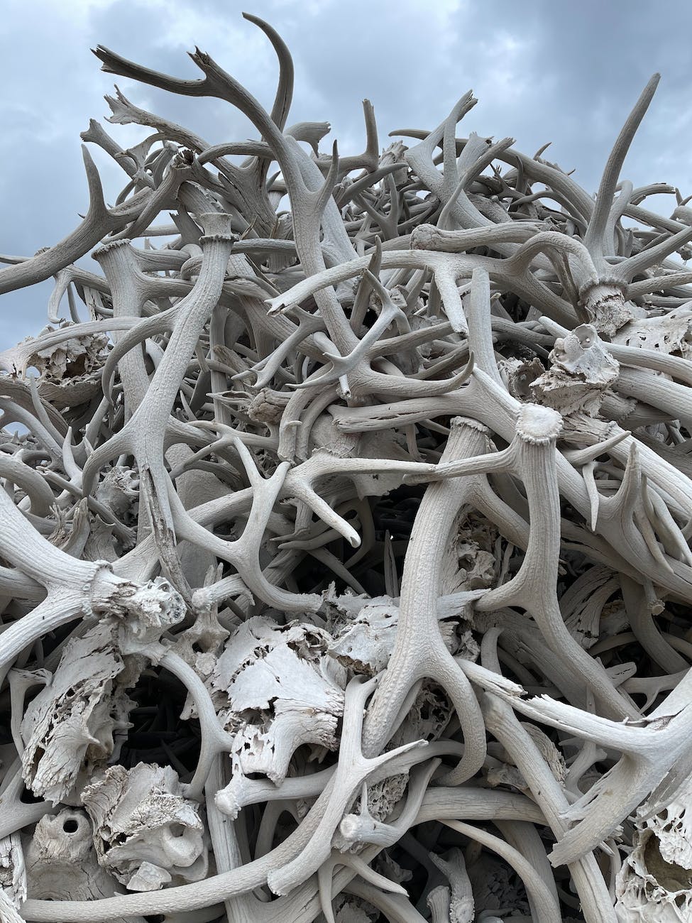 A RATTLING OF BONES – Practical Bible Teaching